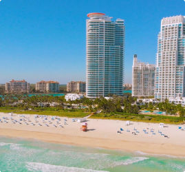 Home - Blue One Properties